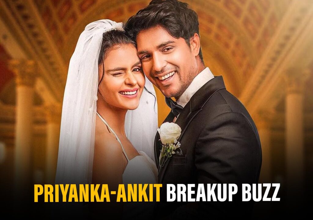 Priyanka Chahar Choudhary and Ankit Gupta Unfollow Each Other, Spark Breakup Speculations