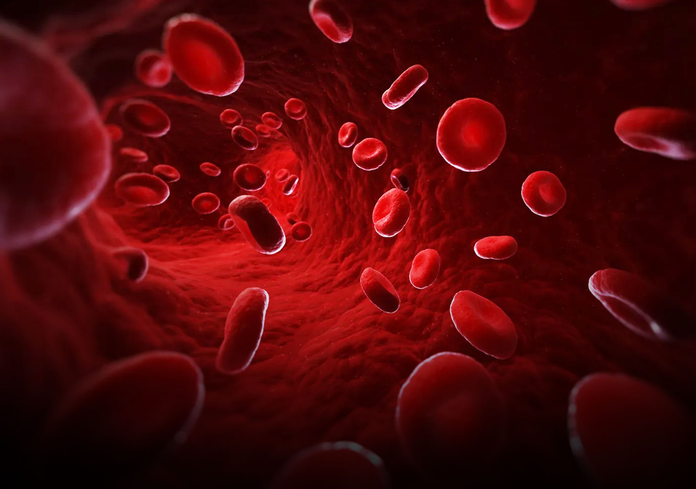 CRIB Blood Group Discovered in India, Experts Baffled by Its One-in-a ...